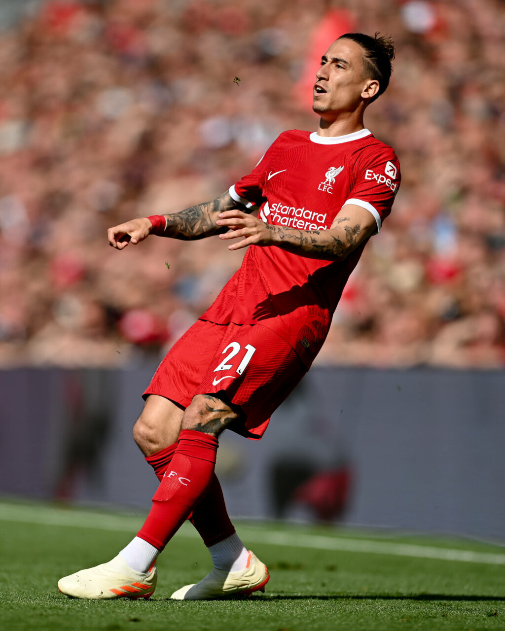 Frétt - Liverpoolklúbburinn á Íslandi